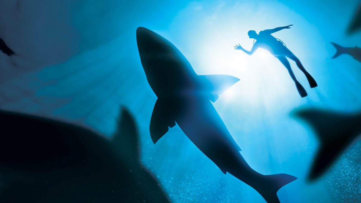 ¿Qué tan inteligentes son? - Shark Squad (Season 1, Episode 101) - Apple TV