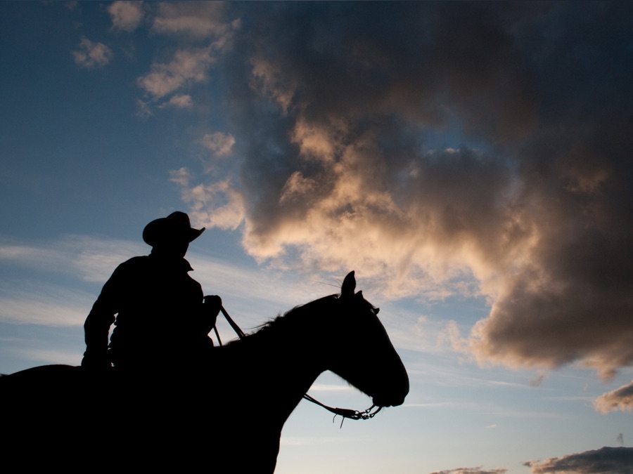 Last American Cowboy - Apple TV