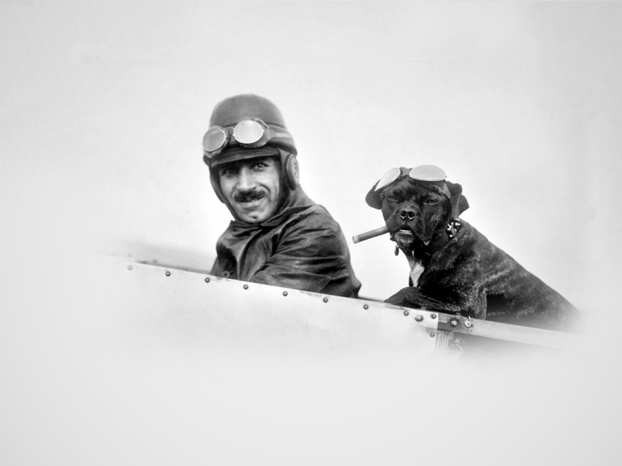 Animals Aloft - Apple TV