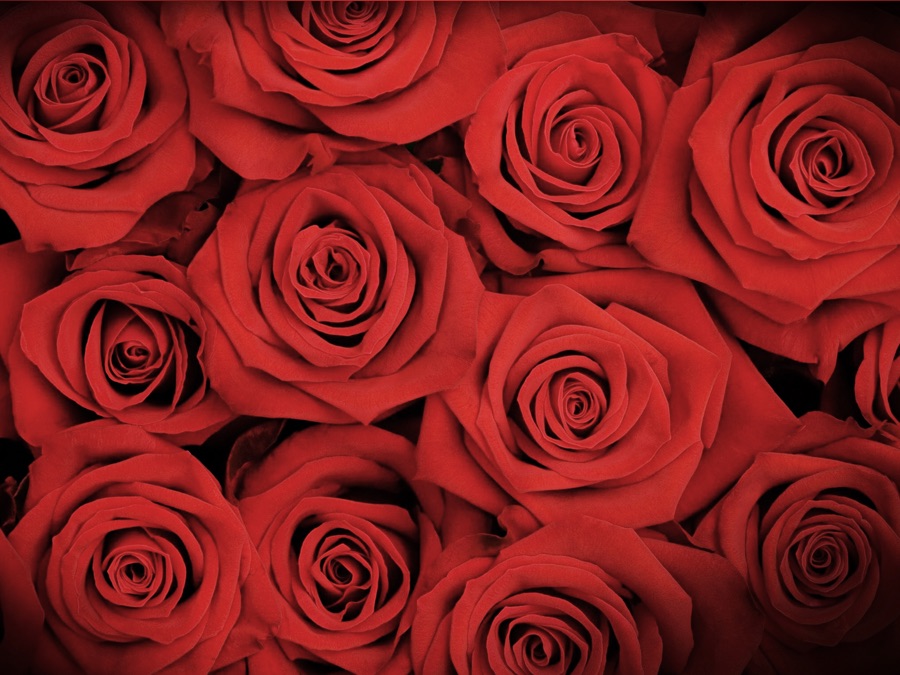 Heartbreakers - Apple TV (CA)