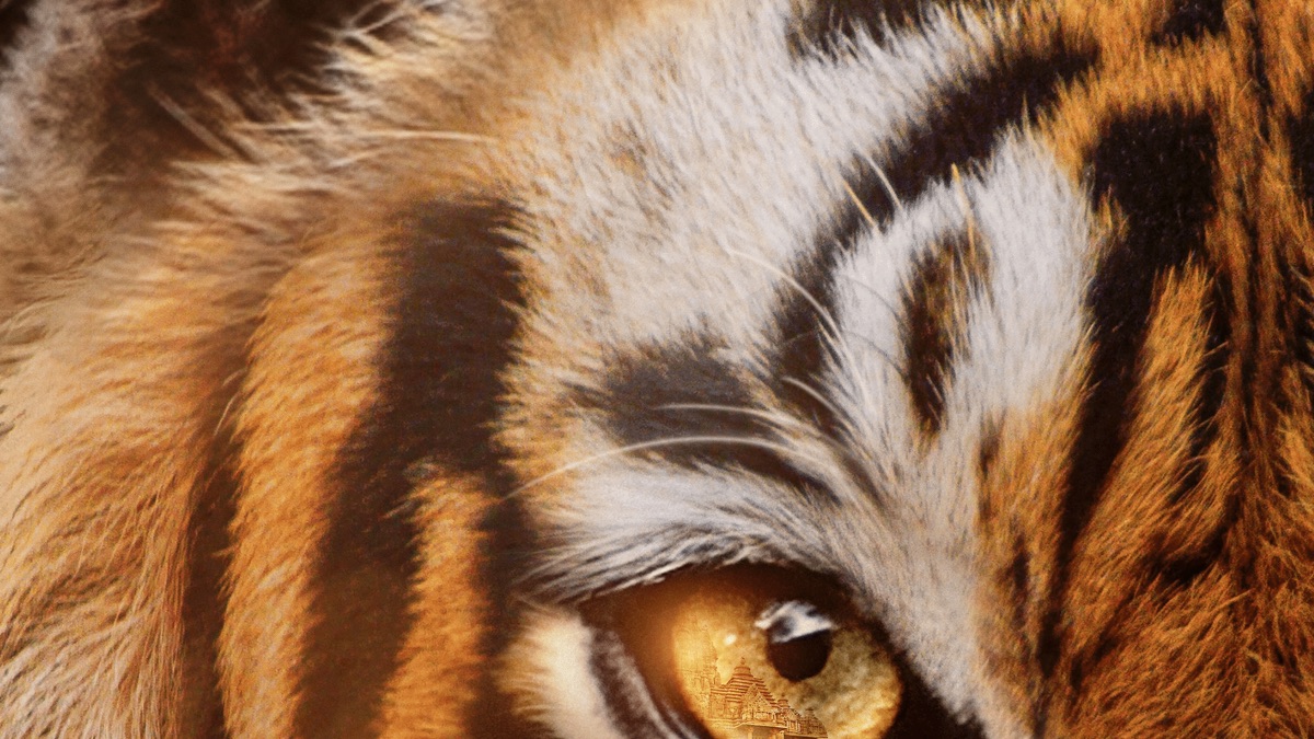 ‎Tigers on the Rise - Apple TV