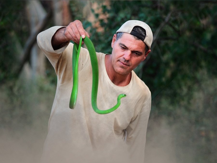 Wild Frank - Apple TV (BR)