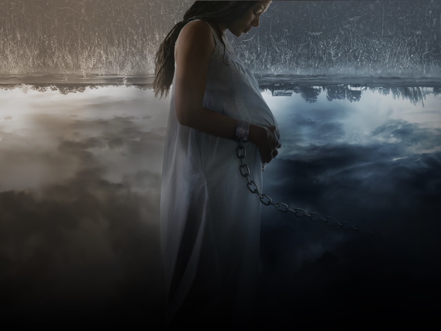 Delivered - Apple TV