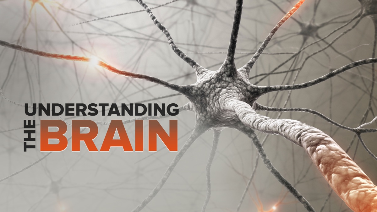 ‏Understanding the Brain - Apple TV