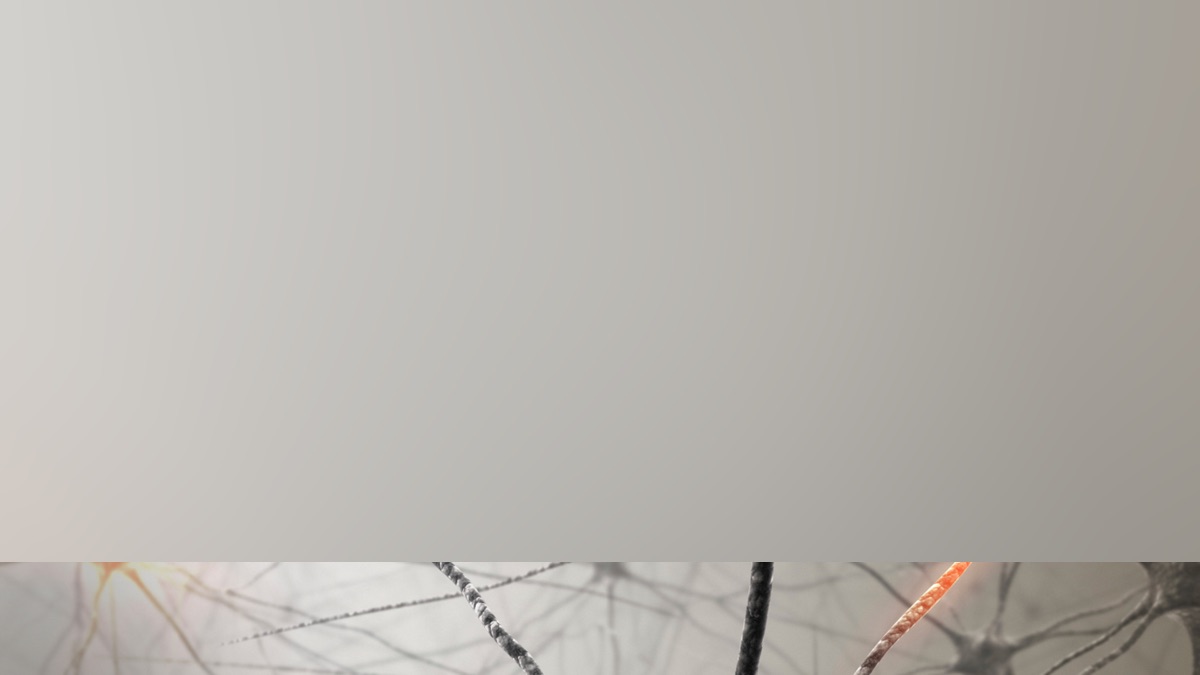 ‎Understanding the Brain - Apple TV