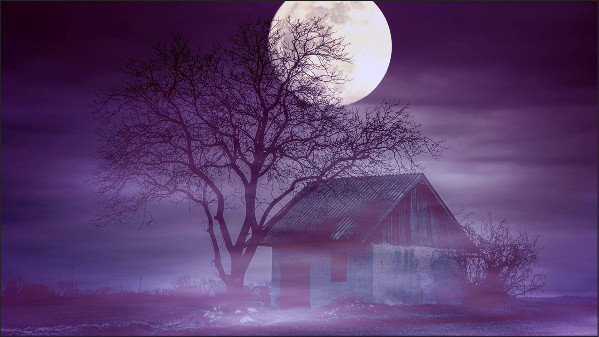 The Real Story behind The Conjuring with Andrea Perron - Open Minds ...