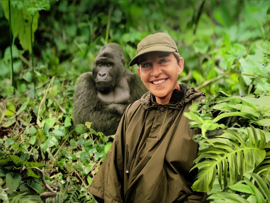 Saving the Gorillas: Ellen's Next Adventure - Apple TV