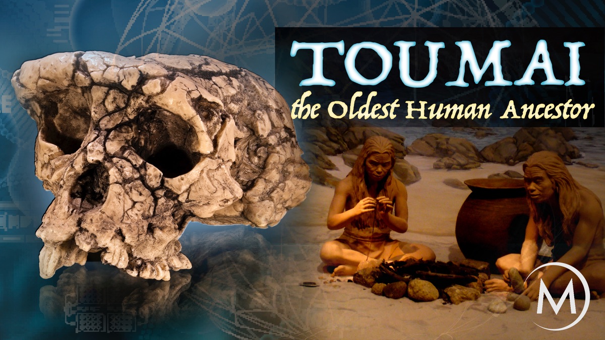 Toumai The Oldest Human Ancestor Apple Tv