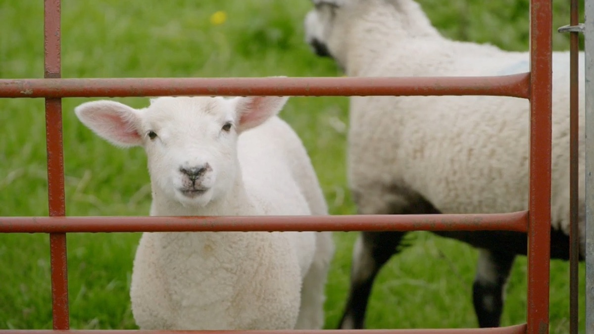Episode 1 – Escape To The Farm With Kate Humble (Season 3, Episode 1 ...