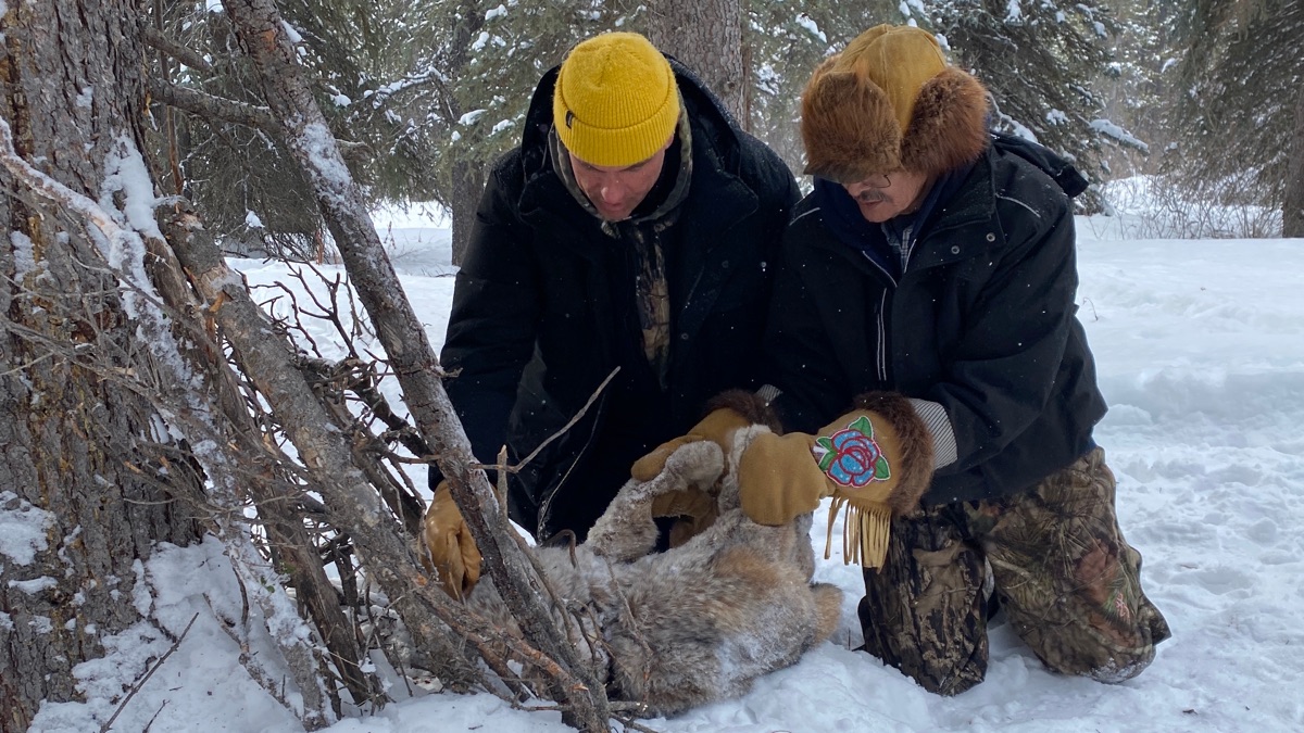 ‎Whitehorse, Yukon Territory - Lynx Trapping – Chuck and the First ...