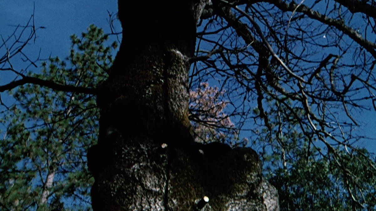 Sylvia - Os Pioneiros (Temporada 7, Episódio 17) - Apple TV (BR)