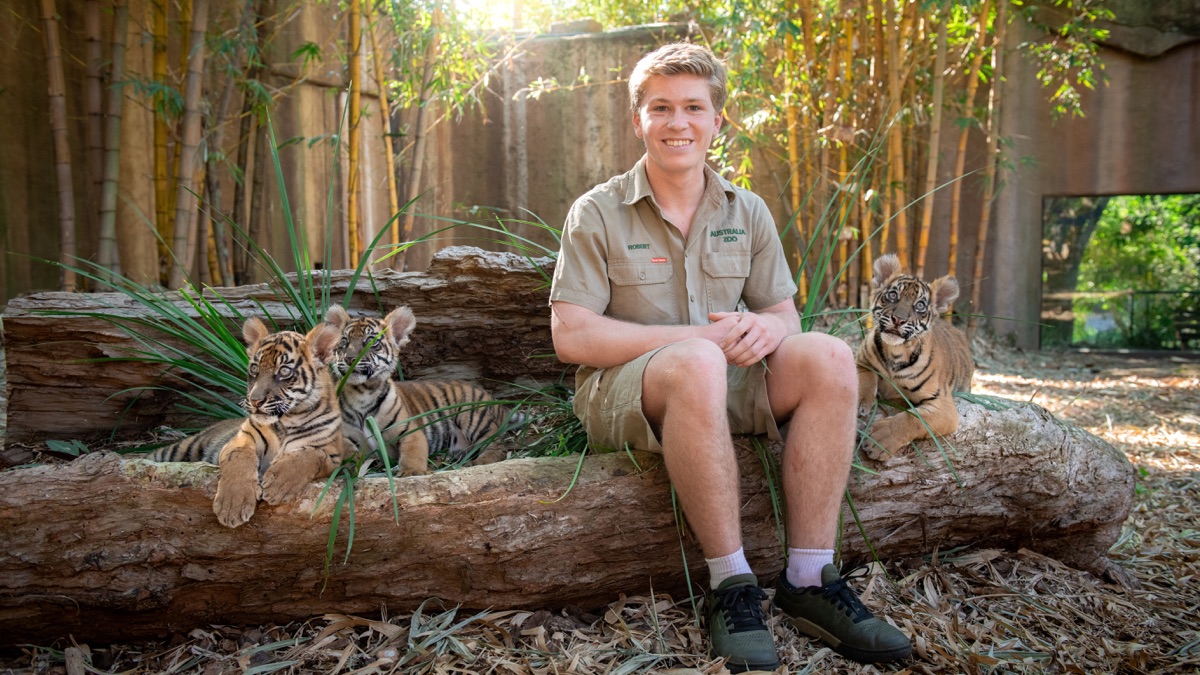 ‎Tiger Triplets - Los Irwin: datos curiosos (temporada 3, episodio 2 ...