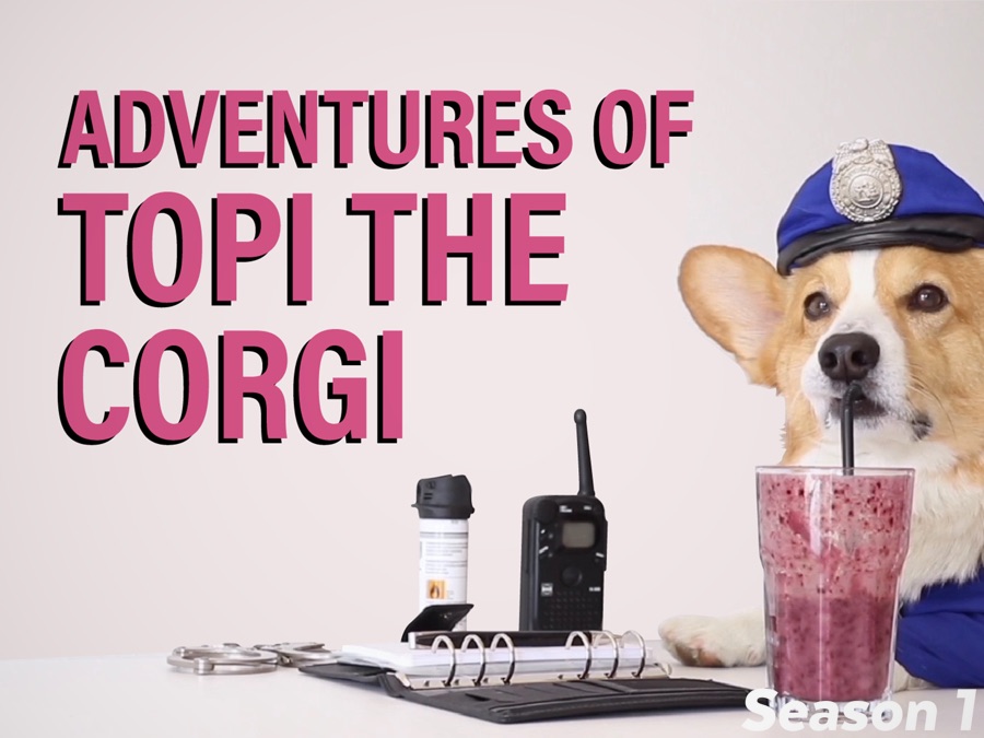 Topi the Corgi - Apple TV