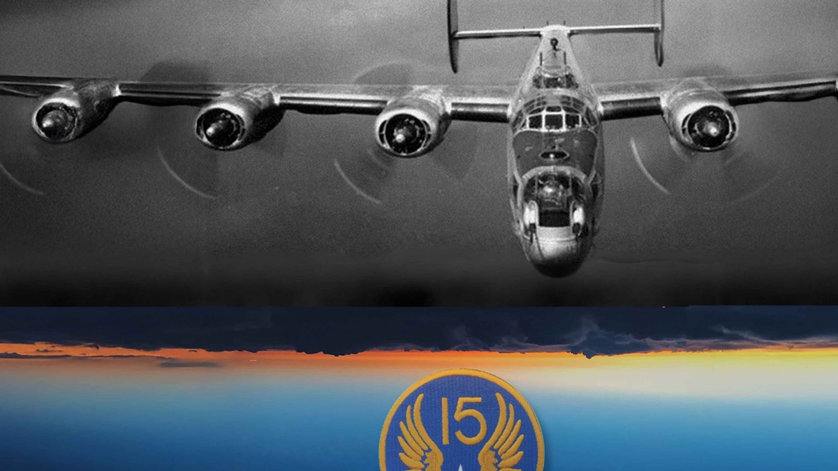 On The Wing - Apple TV