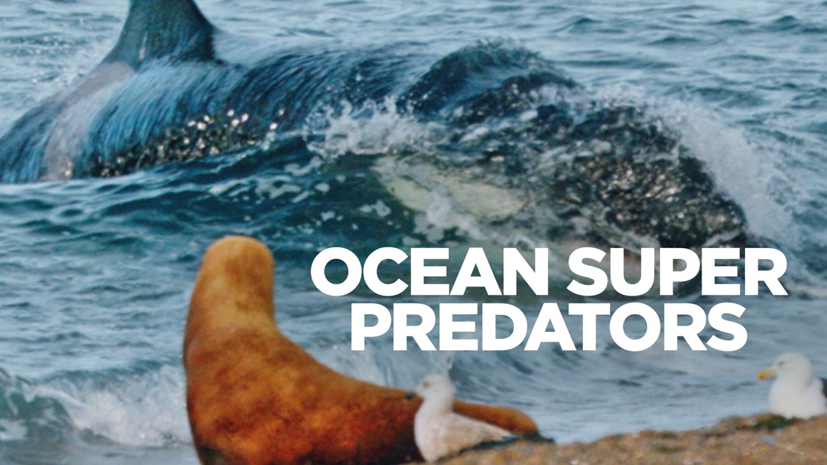 ‎Ocean Super Predators - Apple TV