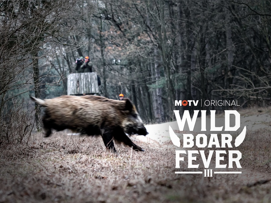 Wild Boar Fever 3 - Apple TV