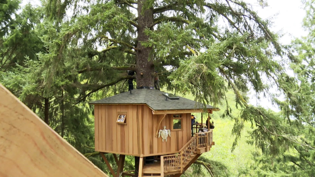 Home Tree Home - Treehouse Masters (Series 5, Episode 10) - Apple TV (BG)