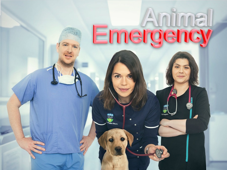 Animal Emergency - Apple TV