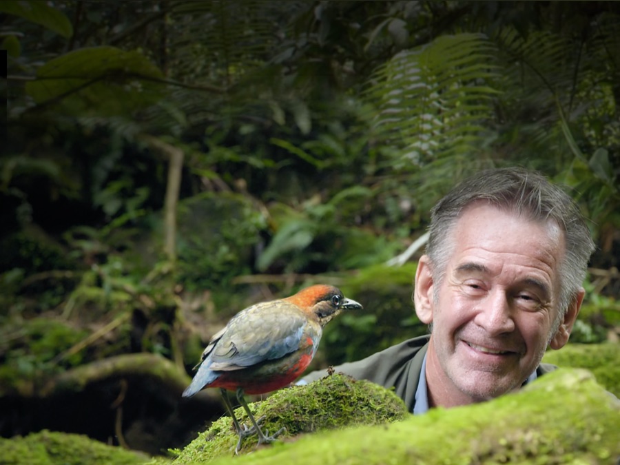 Nigel Marven's Wild Philippines - Apple TV (IT)