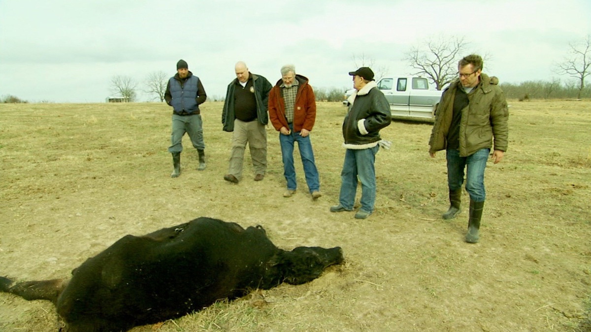 Alien Harvest - UFO Hunters (Series 3, Episode 6) - Apple TV (EG)