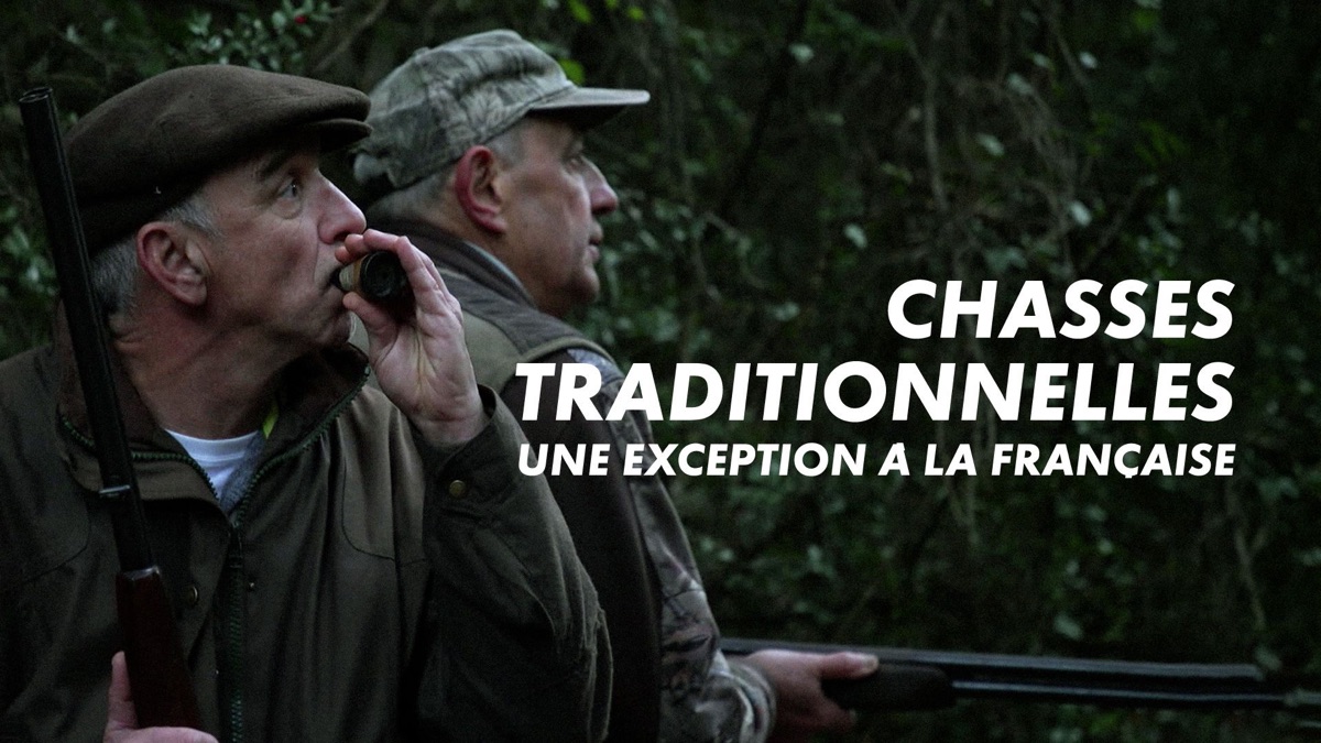 ‎Chasses traditionnelles, une exception à la française - Apple TV