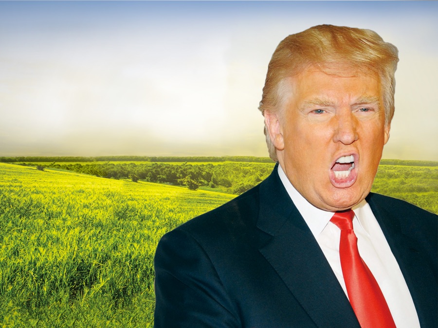 You've Been Trumped - Apple TV