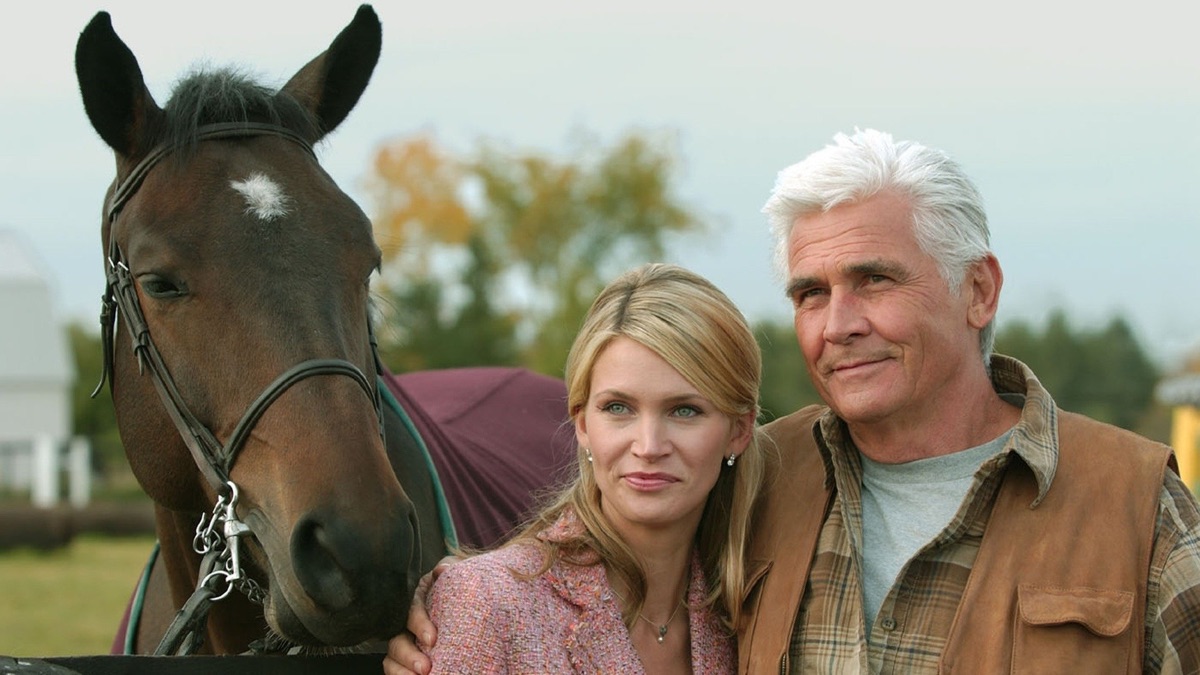 Widow on the Hill - Apple TV