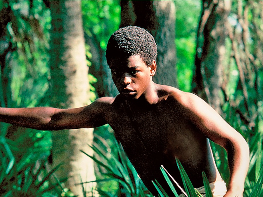 Roots: The Complete Miniseries - Apple TV (AU)