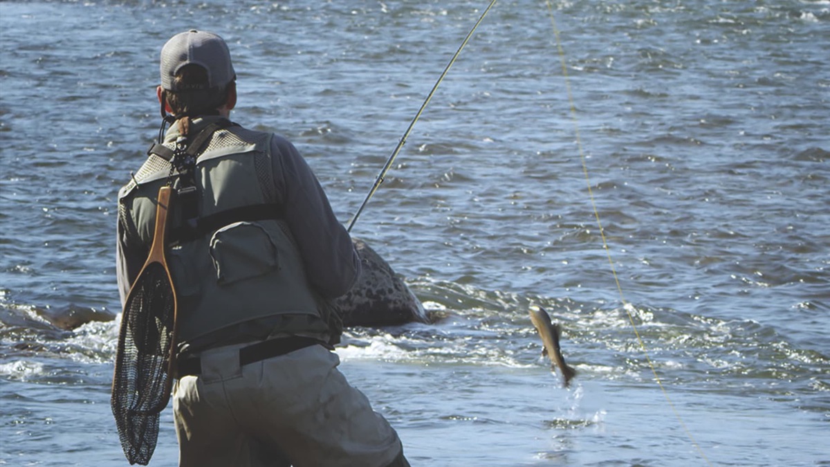 The Rocky Mountain Fly Highway - Apple TV (CA)
