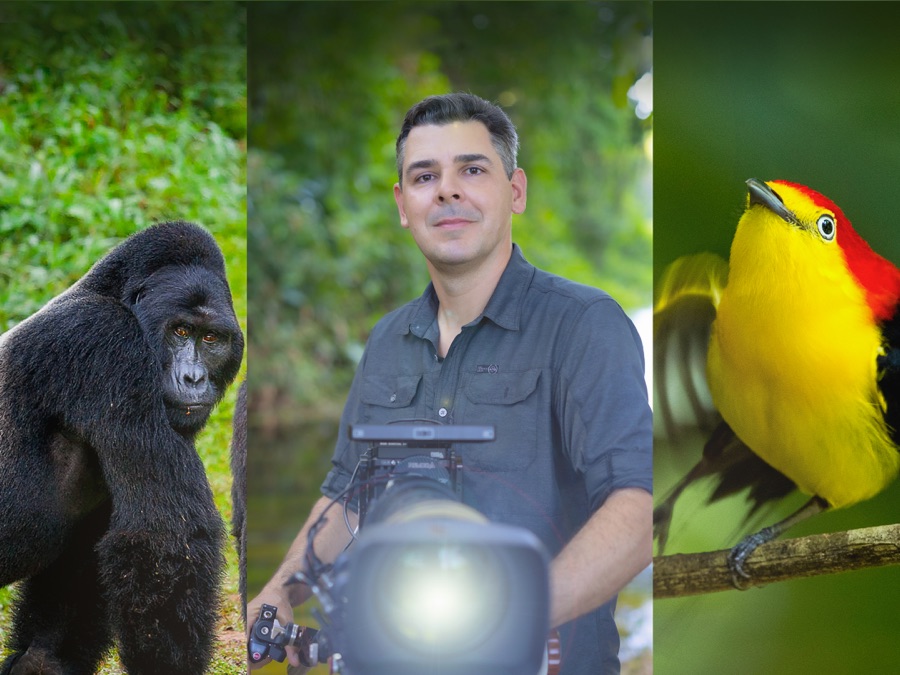 Historias animales - Apple TV (MX)