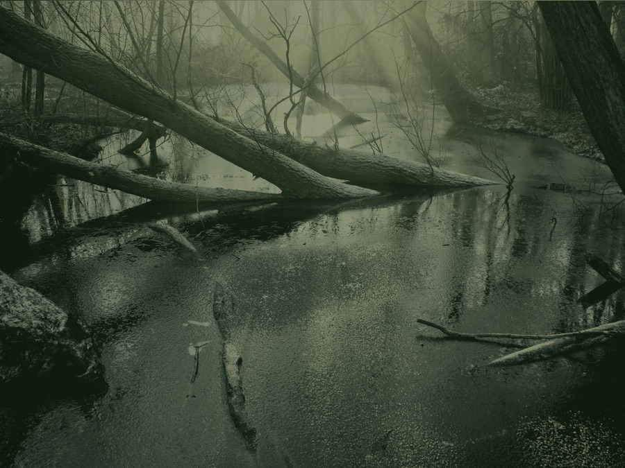 Swamp Wars - Apple TV