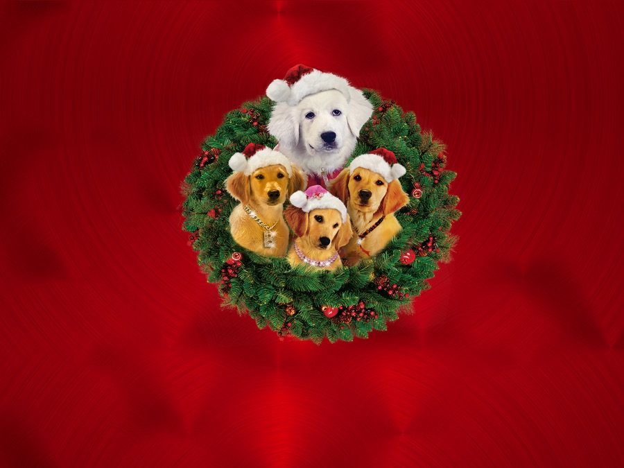 Santa Buddies: The Legend of Santa Paws - Apple TV (الإمارات)