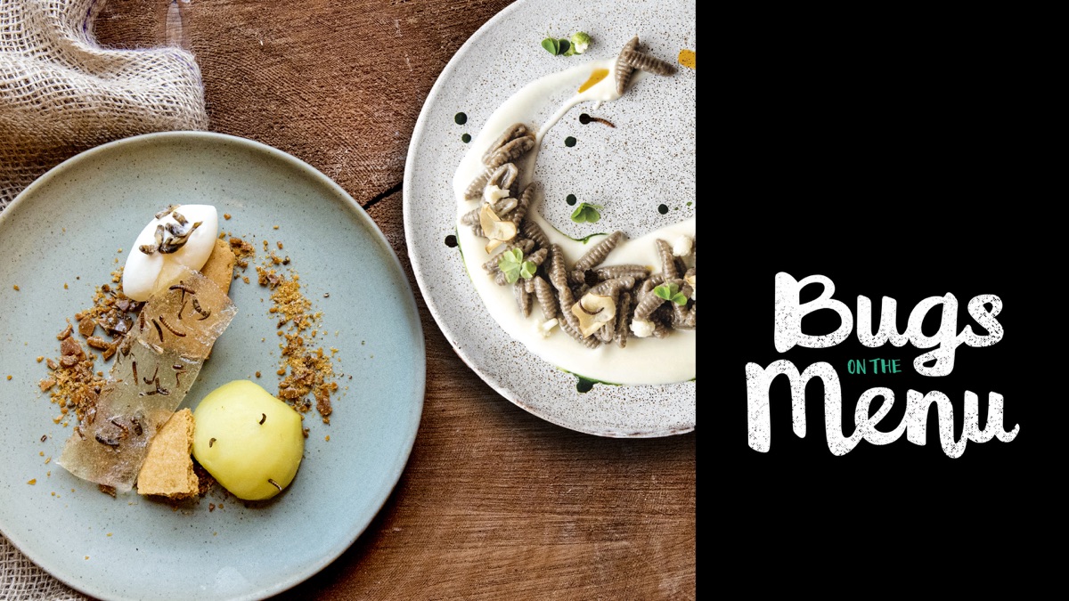 Bugs on the Menu - Apple TV