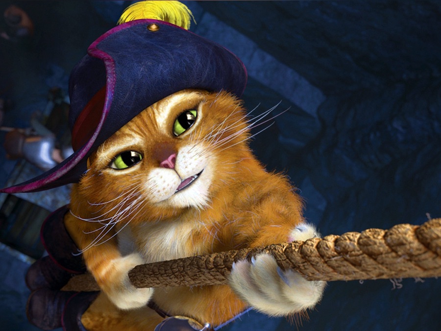 Le Chat Potté - Apple TV (FR)