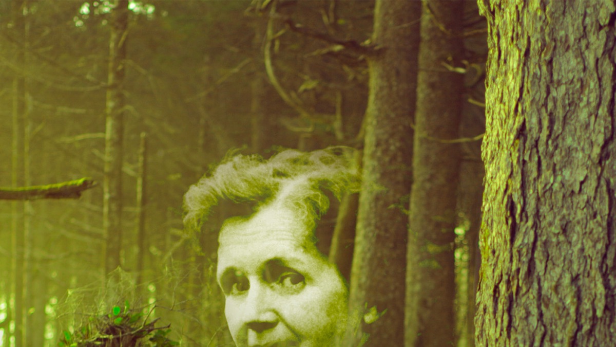 ‎Rachel Carson and the Birth of the Environmental Movement - Apple TV