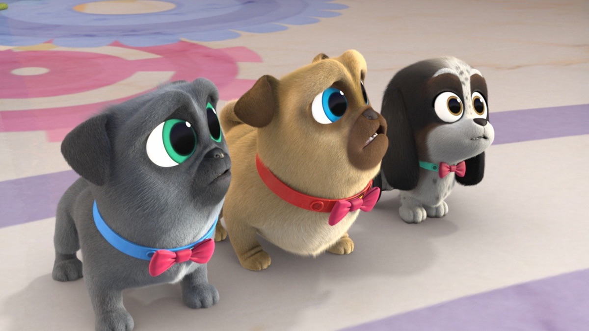 Family Pet Picture Day/ Cat Park - Puppy Dog Pals (Series 5, Episode 4 ...