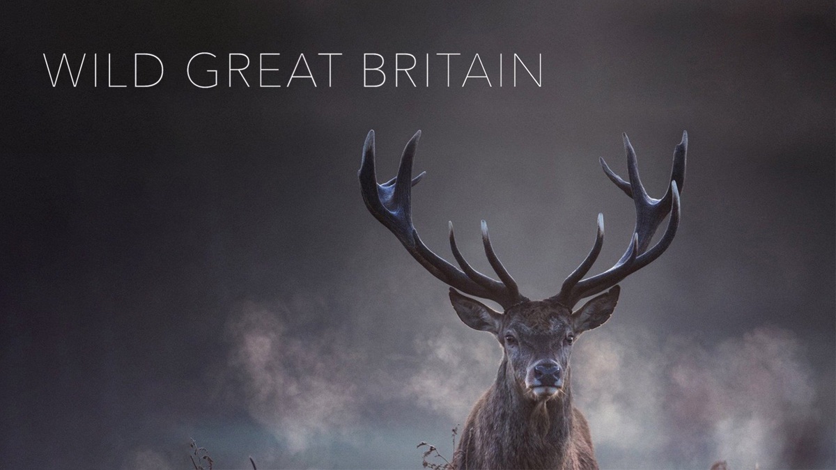 Wild Britain | Apple TV