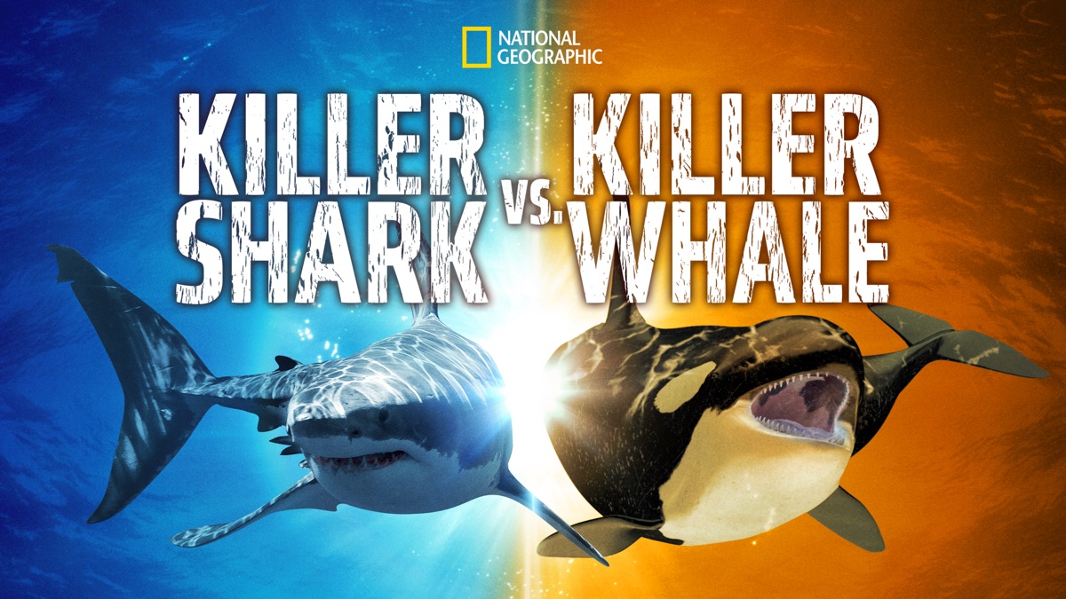 ‎Killer Shark vs Killer Whale - Apple TV