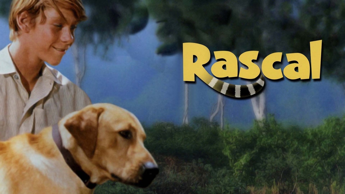 ‎Rascal - Apple TV