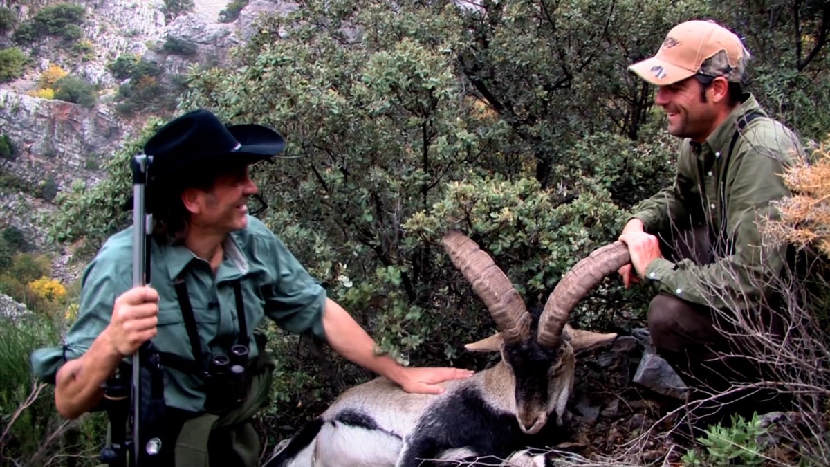 ‎A Spanish Mountain Hunt for Ronda Ibex & Barbary Sheep – Jim Shockey's ...