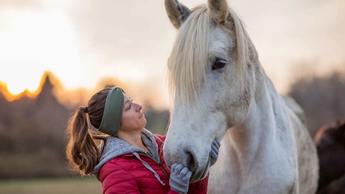 ‎Twist of Fate Farm - Dodo Heroes (Series 2, Episode 2) - Apple TV (IN)