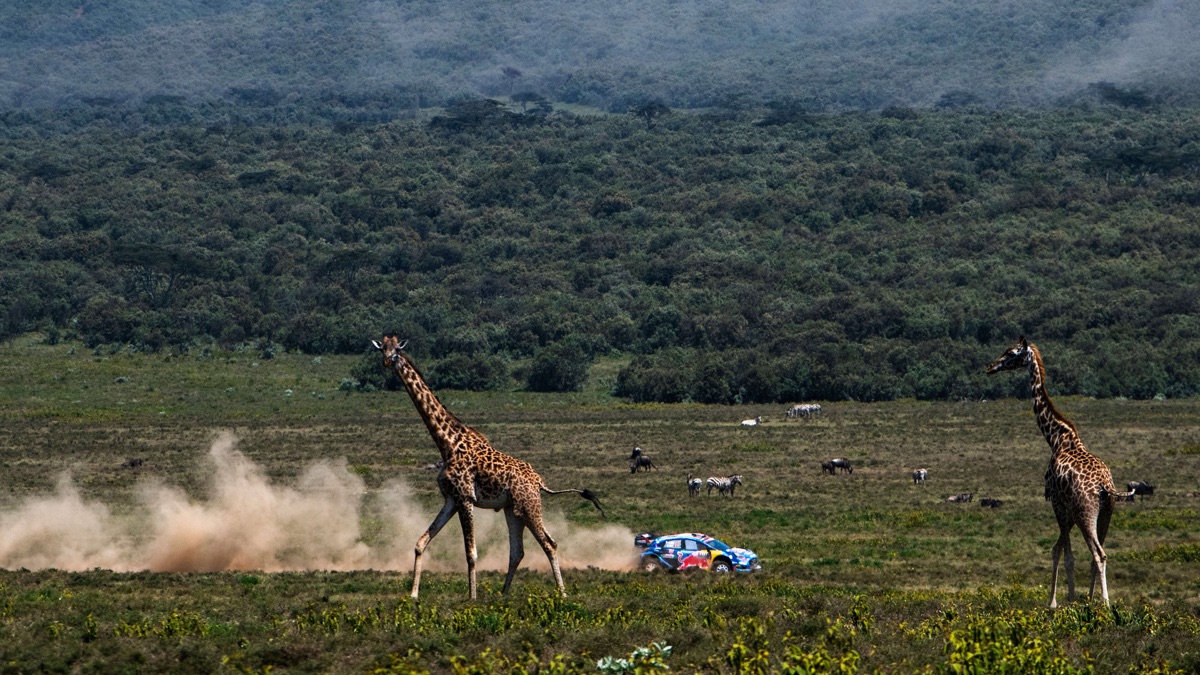 Sunday highlights - Kenya - FIA World Rallycross Championship (Season ...