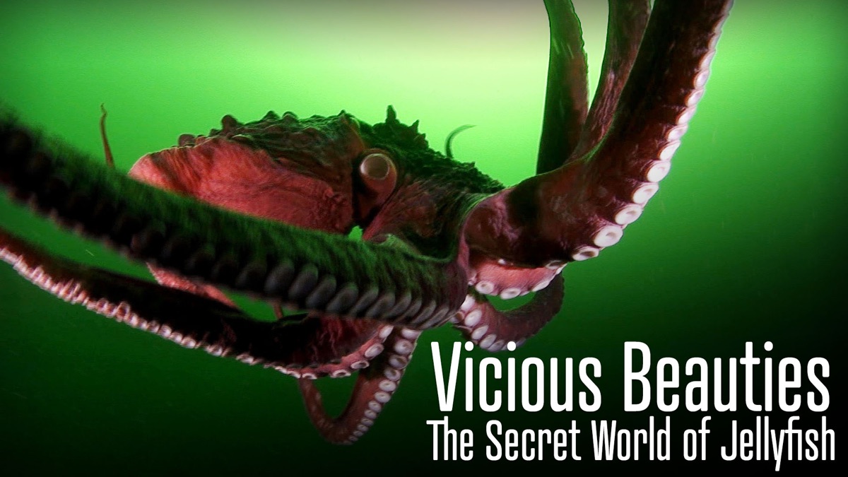 ‎Vicious Beauties - The Secret World of Jellyfish - Apple TV
