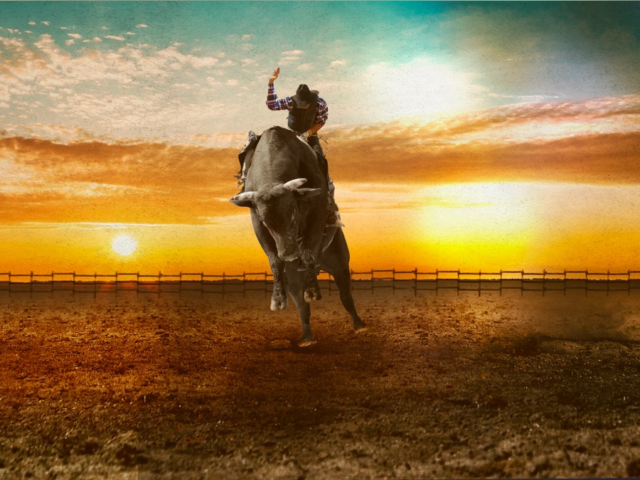 Cowboy & Indiana | Apple TV