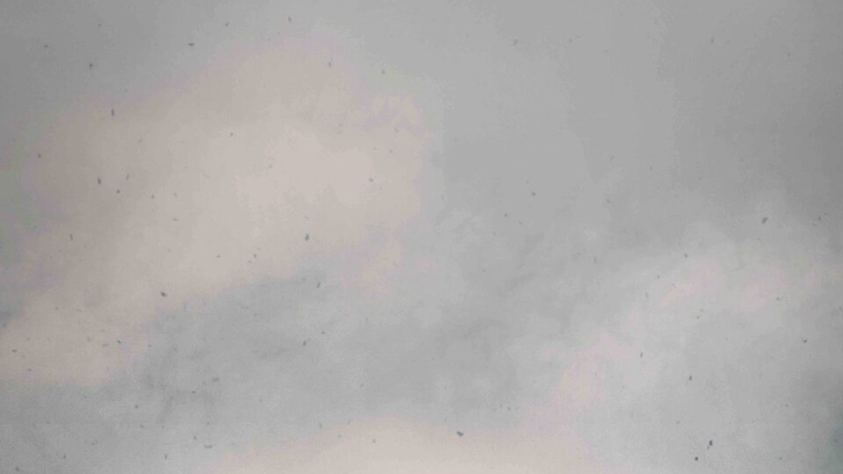 ‎Teen Wolf - Apple TV