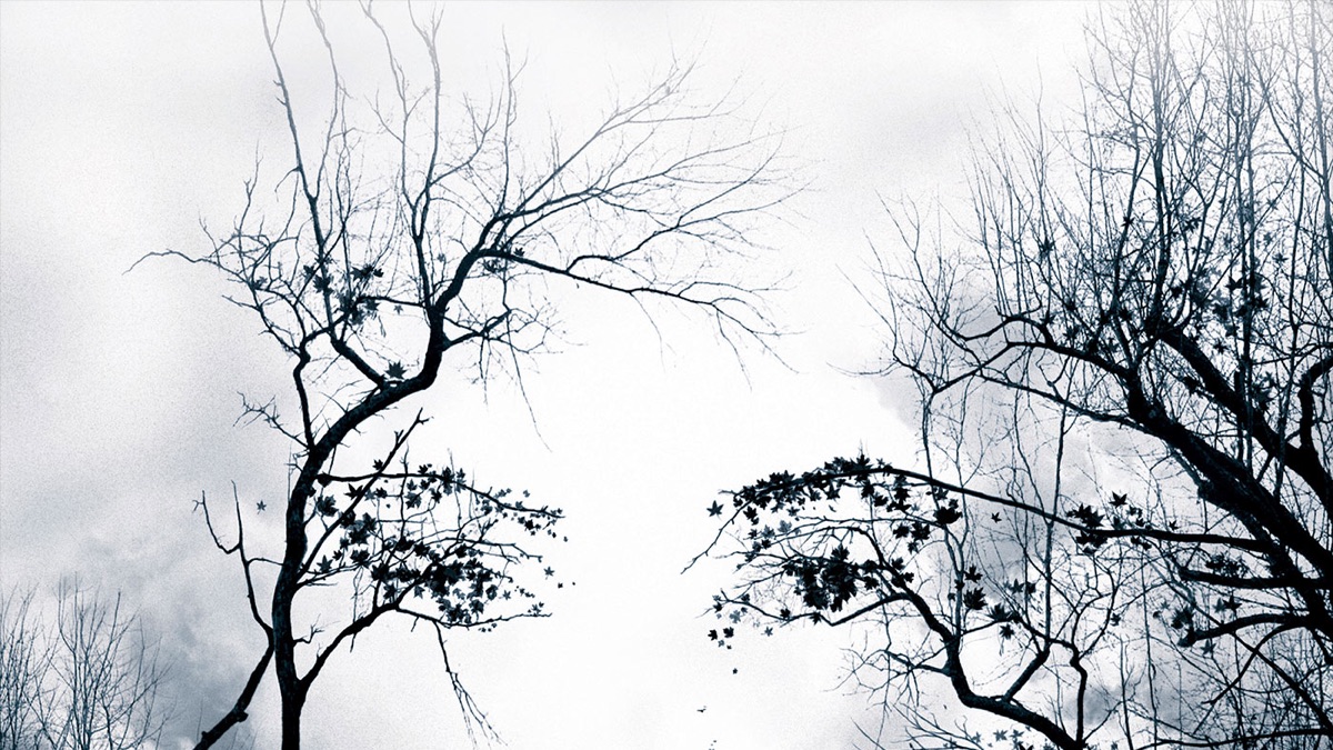 ‎Premonition - Apple TV