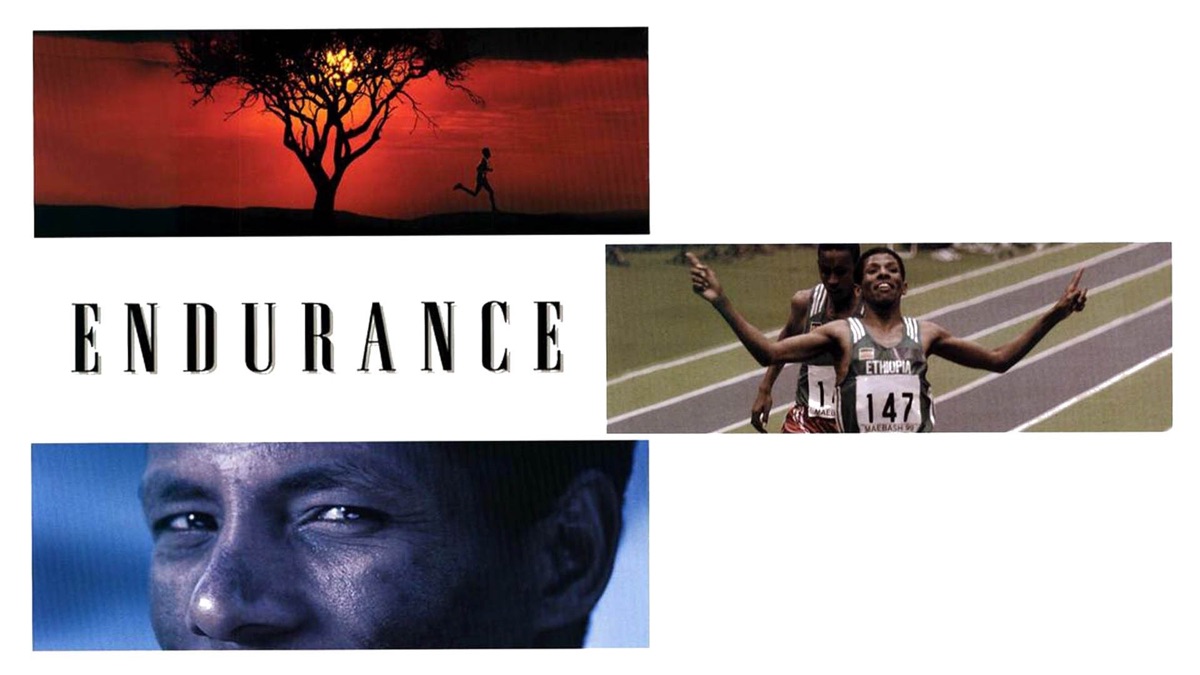 ‎Endurance - Apple TV