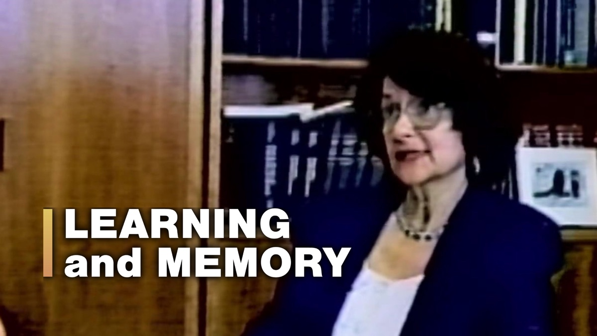 ‎Learning and Memory - Apple TV