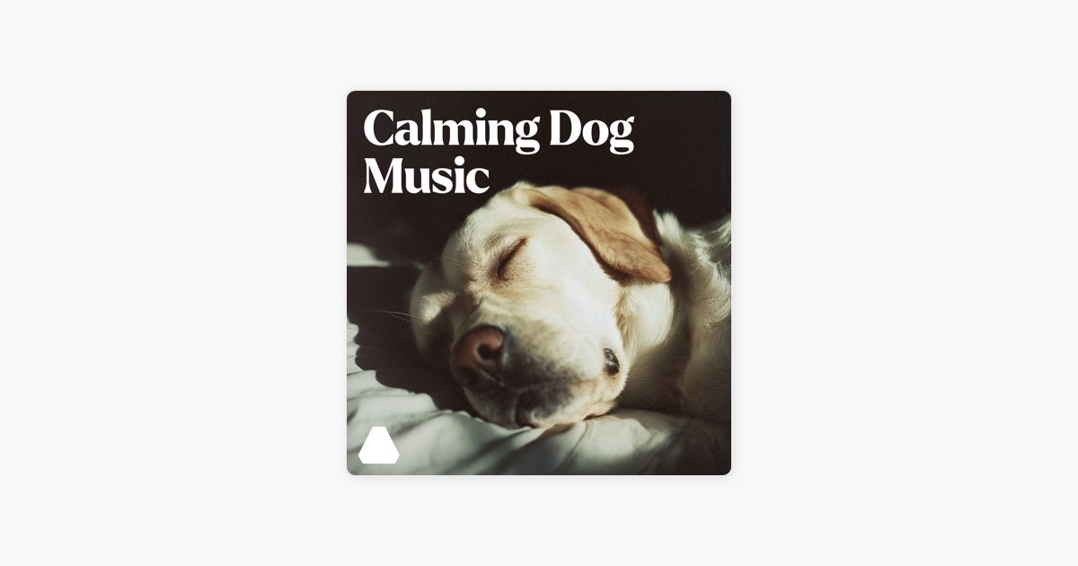 ‎Calming Dog Music for Sleep, Anxiety Relief & Relaxation by Prisma ...