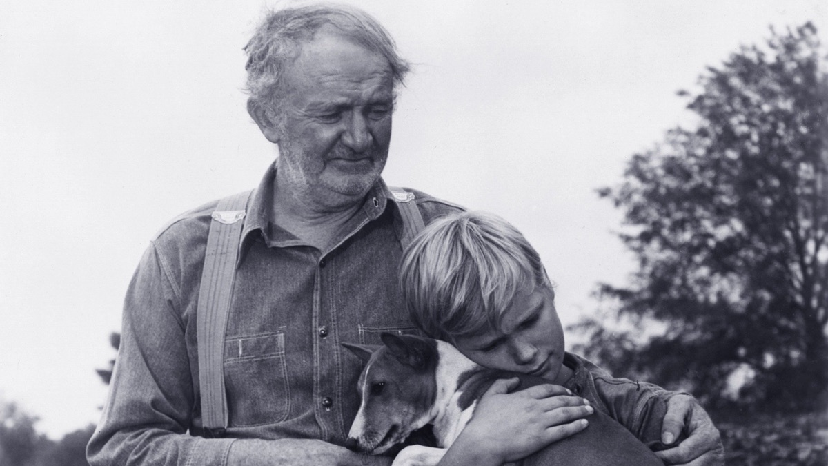 Adiós Lady - Apple TV